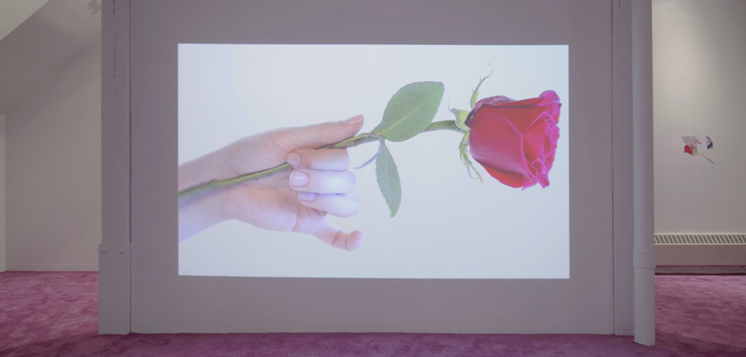 Sensual, Tactile, Experiential: Amy Beecher at GRIN